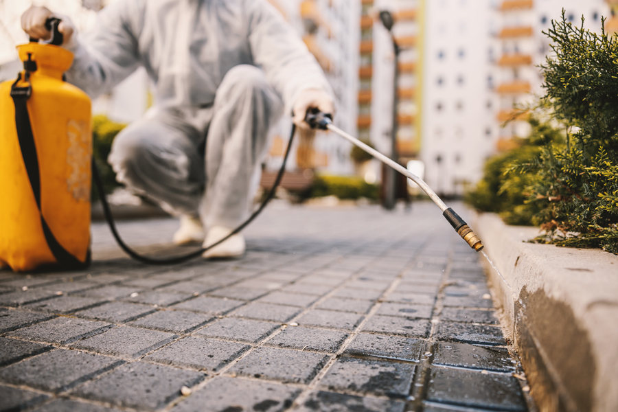 Terminix to Merge With Rentokil to Create Global Pest Control Leader